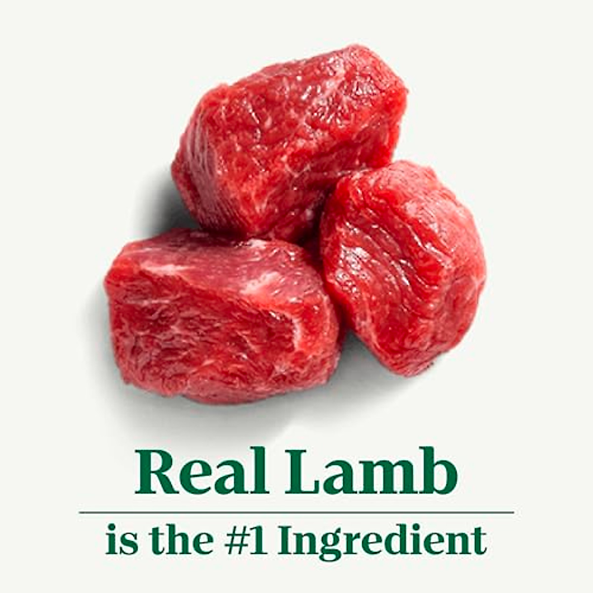 Nutro Natural Choice Adult Dry Dog Food, Lamb and Brown Rice Recipe, 36 lb. Bag