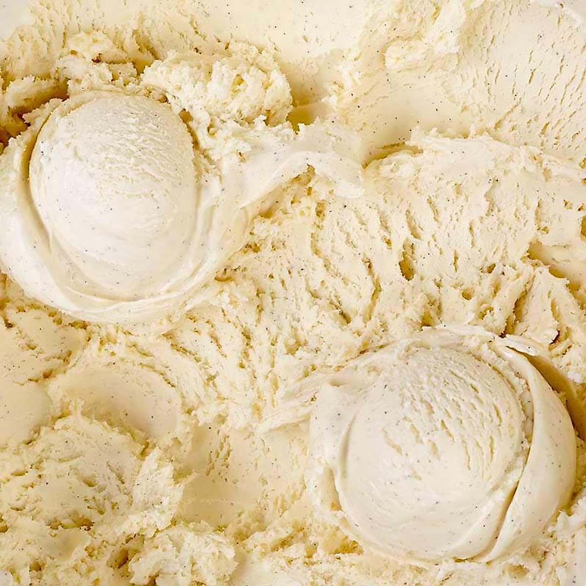 Van Leeuwen Premium Vanilla Bean French Ice Cream, 14 oz (Frozen)
