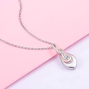 925 Sterling Silver Ash Necklace Memorial Teardrop CZ Keepsake Pendant Infinity Urn Necklace for Ashes for Women Cremation Jewelry(clear)