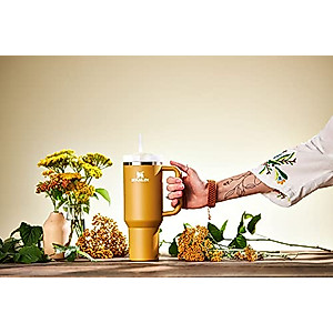 Stanley Quencher H2.0 FlowState Stainless Steel Vacuum Insulated Tumbler with Lid and Straw for Water, Iced Tea or Coffee, Smoothie and More, Yarrow, 40 oz