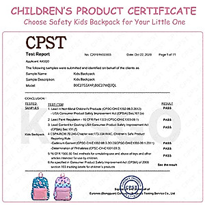 Kasqo Kids Backpack, Water Resistant Lightweight Preschool Toddler Bookbag with Chest Strap for Boys and Girls, butterfly