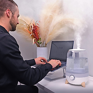 Elechomes Humidifier for Bedroom (US3501)