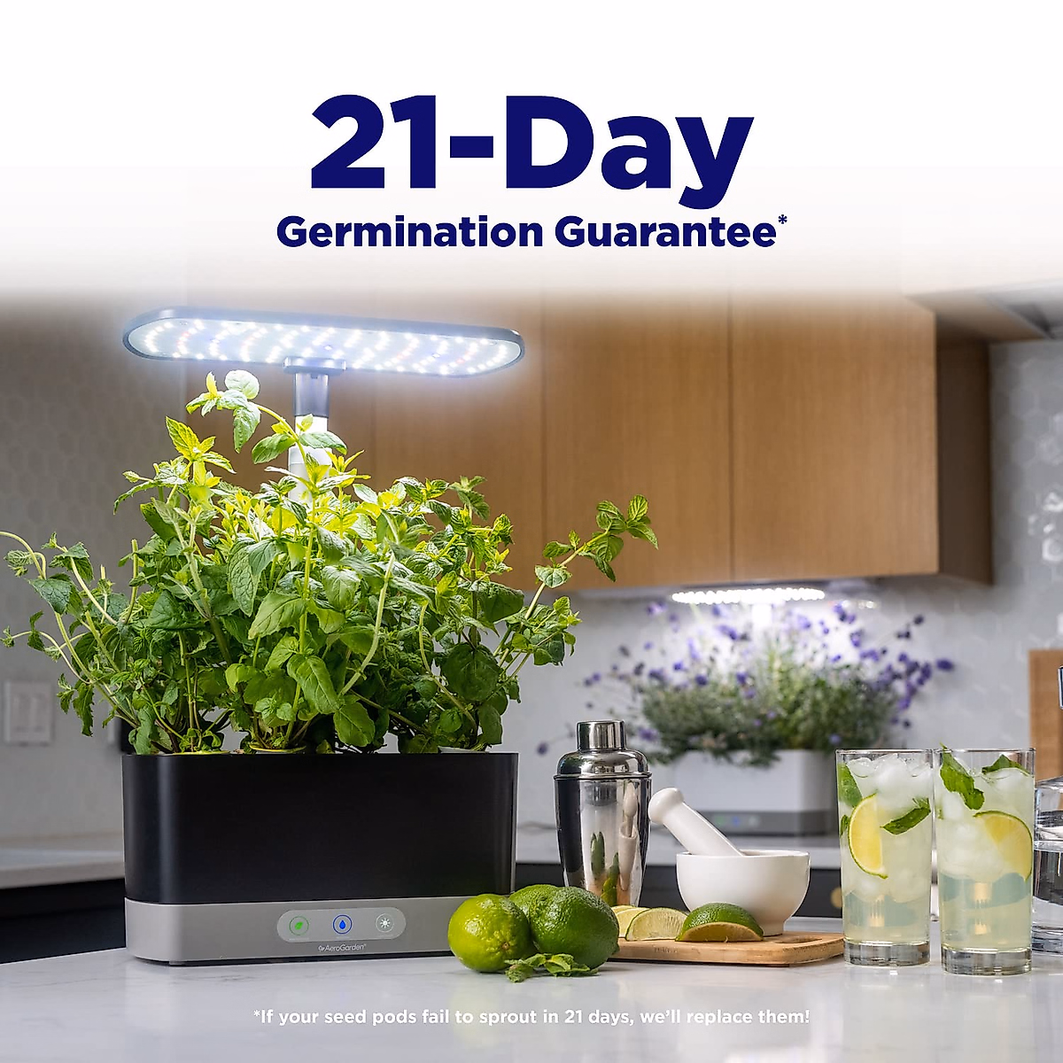 AeroGarden Harvest XL with Gourmet Herbs Seed Pod Kit - Indoor Garden with LED Grow Light, Black