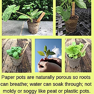 Clovers Garden Organic Recycled Paper Seed Starter Pots - 100% Biodegradable Peat-Free Pots for Seedlings - 60 (3.5" Round) Germination Pots with 24 Markers - Eco Friendly Ideal for Organic Gardening