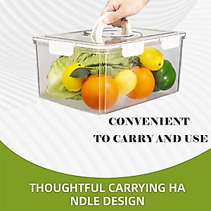 VANEME Airtight Fruit Storage Containers with Lids and Handle,Fridge Organizer,with 4 Removable Colanders for Fresh Produce, Fruit and Vegetable Storage(White)