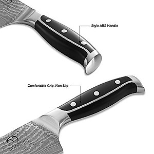 Damascus Kitchen Knife, 8 Inch Chef Knife Professional Kitchen Knife Forged with VG10 Super Steel 67-Layer Damascus, Non-slip ABS Ergonomic Triple Rivet Handle, Razor Sharp Lightweight Multipurpose