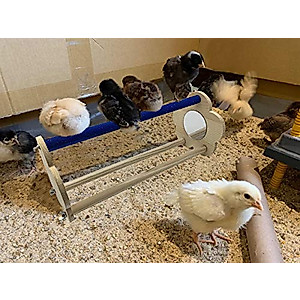 Chicken Perch for Chicks Chicken Wood Stand with Mirrors Chick Stand Trainning Perch Toy Chicken Swing Chicken Toy for Hens