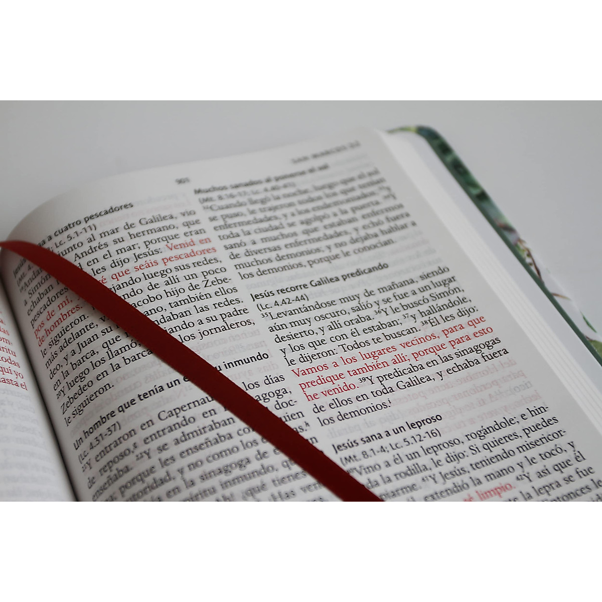 Biblia RVR 1960 letra grande Tapa dura y tela verde con flores tamaño manual / B ible RVR 1960 Handy Size Large Print Hardcover Cloth with Green Floral