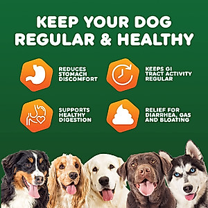 Primova Pet Products - Probiotic Dog Chews for Dog Digestive Enzymes - Dog Diarrhea & Natural Allergy Relief - Puppy Probiotic Chews - Dog Allergy Chews - Pack of 120 Chews