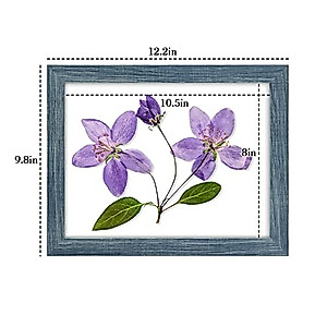 Frametory, 8.5x11 Picture Frame with Glass, Tabletop & Wall Horizontal or Vertical Display, 8 1/2 x 11 Photo Frame for Diploma, Documents (Blue, 1-Pack)