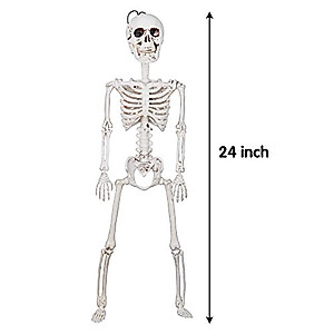 JOYIN 2 Halloween Decoration 24” Pose-N-Stay Full Body Skeleton Plastic Bone with Posable Joints for Pose Skeleton Indoor/Outdoor Spooky Scene Photo Prop Party Favors Décor