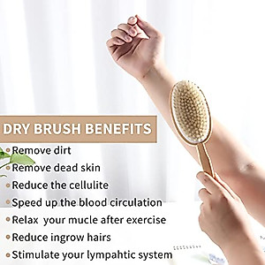 Detachable Dual-Sided Long Handle Shower Bath Brush with Soft and Stiff Bristles Back Scrubber Body Exfoliator Dry Brush Mlifasty