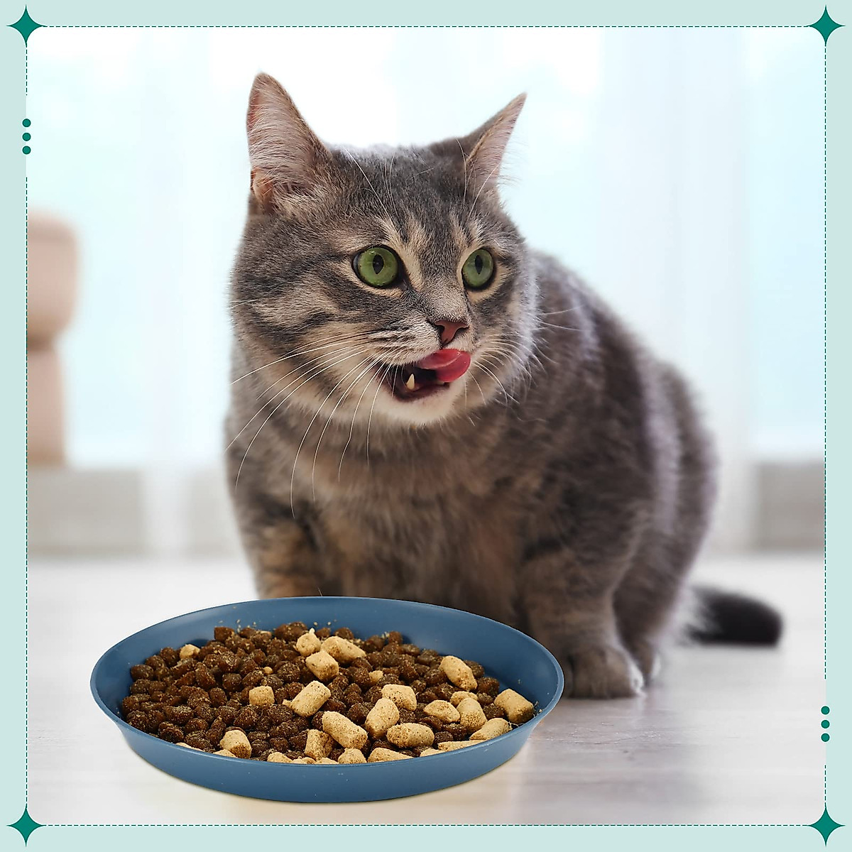 Gerrii 24 Pieces Whisker Fatigue Relief Cat Bowl 6 Inch Shallow Cat Food Dish Stray Dog Wet Feeding Bowls Wide and Small Pet Plates for Kittens and Short Legged Kittens, Wheat Straw(Elegant Color)