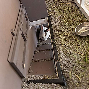 Be Mindful | Bunny Hutch for Rabbits and Other Small Animals