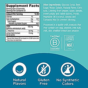 OLLY Goodbye Stress Gummy, GABA, L-Theanine, Lemon Balm, Stress Relief Supplement, Berry - 42 Count