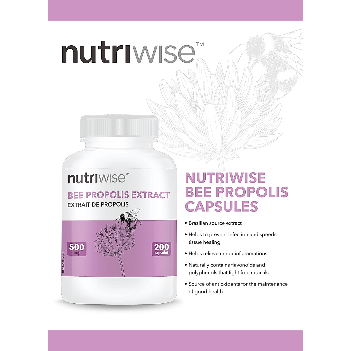 NutriWise Brazilian Bee Propolis Extract immune support 500mg
