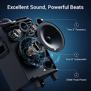 Wireless Karaoke Machine for Adults, TONOR PA System Portable Bluetooth Singing Speaker with Dual Wireless Microphones Microfono, Disco Ball for Home Karaoke, Party, Class and Church K20