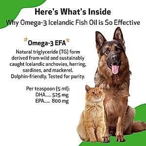 Pet Wellbeing Omega-3 Daily EFA Fish Oil for Dogs & Cats - Healthy Skin, Coat, Mobility, Joints, Heart Health - EPA, DHA - 8 fl oz (236 ml)