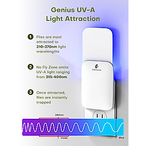Kiwinurse Fruit Fly Traps for Indoors (2 Traps + 8 Glue Cards), Gnat Traps for House Indoor, Fly Traps Indoor for Home with Flying Insect Trap Refills