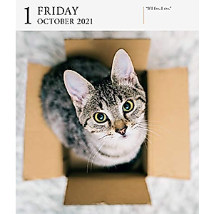 Cat Page-A-Day Gallery Calendar 2021