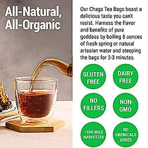 Sayan Siberian Chaga Mushroom Tea Organic Antioxidant Caffeine Free, Raw and Extract Blend, Unbleached 20 Bag, Wild Harvested for Focus Concentration Energy Boost and Immune Support, Detox