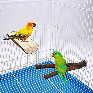 Mogoko Natural Wood Bird Perch Stand, Hanging Multi Branch Perch for Parrots, Parakeets Cockatiels, Conures, Macaws, Love Birds, Finches (Style 5)