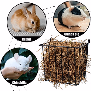 2PCS Rabbit Hay Feeder with Heavy-Duty Metal Frame Hay Holder，for Bunny, Guinea Pigs,Chinchillas-6.9x4.7x6.6 inch……