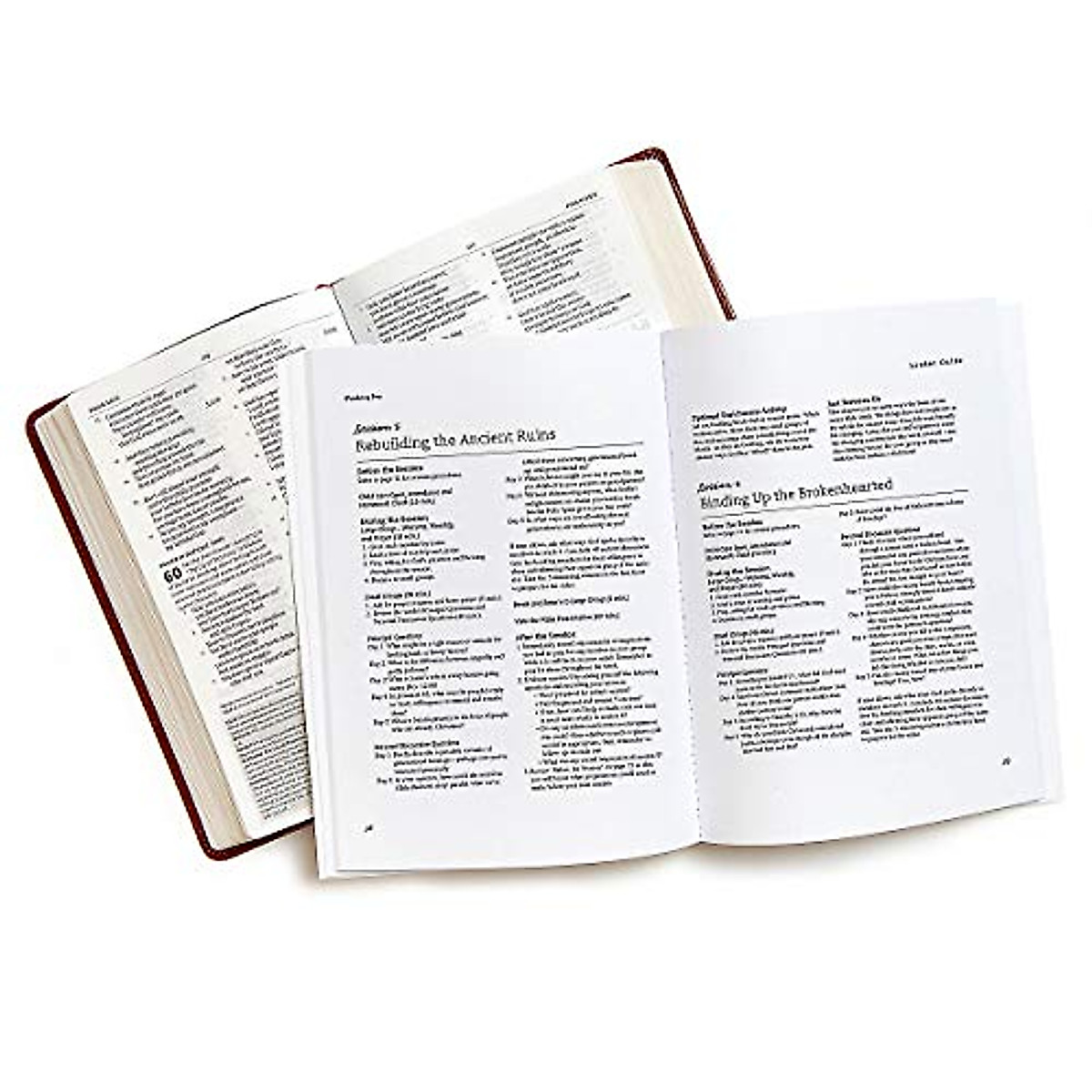 Breaking Free - Bible Study Book: The Journey, The Stories