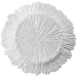 ChargeIt by Jay Reef Charger Plate, Silver, Diameter: 13.5 Inch (1470111)