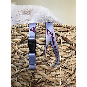 Desert Cactus University of Wisconsin La Crosse Lanyard UWLAX Eagles Car Keys ID Badge Holder Keychain Detachable Breakaway Snap Buckle (Gray)