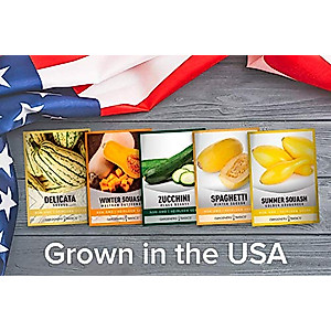 Squash Seeds for Planting 5 Individual Packets - Zucchini, Delicata, Butternut, Spaghetti and Golden Crookneck for Your Non GMO Heirloom Vegetable Garden by Gardeners Basics