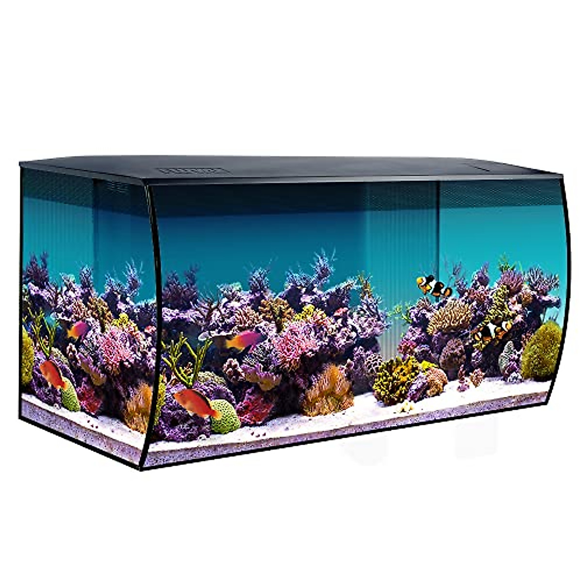 Fluval Sea Flex Saltwater Aquarium Kit - 123 L (32.5 US gal) - Black