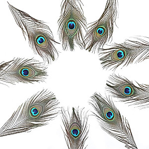 12 PCS Real Natural Peacock Eye Feathers 10-12 inch for DIY Craft, Wedding and Holiday Decorations
