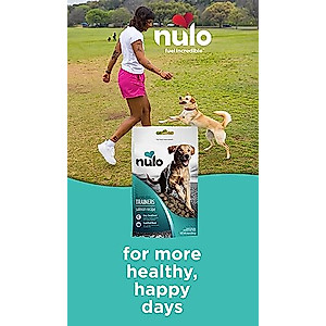 Nulo Puppy & Adult Freestyle Trainers Dog Treats: Healthy Gluten Free Low Calorie Grain Free Dog Training Rewards - Salmon Recipe - 4 Oz Bag