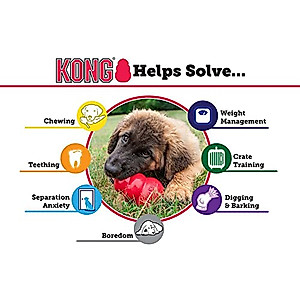 KONG Senior Dog Toy - Gentle Natural Rubber Dog Treat Dispensing Toy - for Medium Dogs