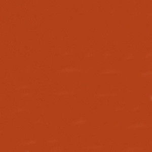 Burnt Orange Cardstock - 8.5 x 11 inch - 65Lb Cover - 50 Sheets - Clear Path Paper