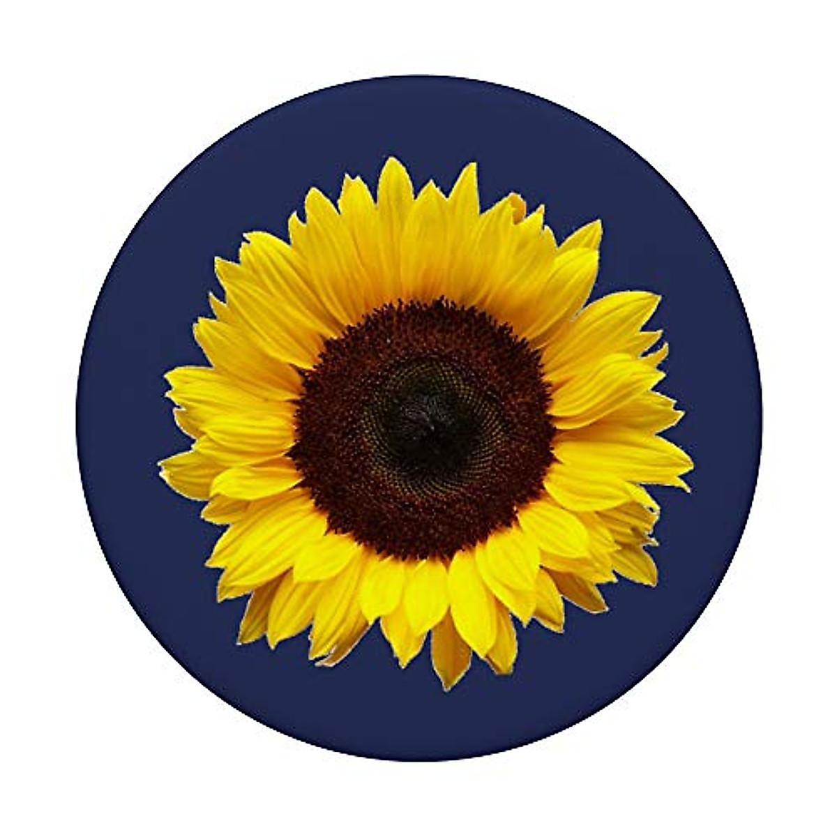 Beautiful yellow sunflower sun flower blooms funny gift PopSockets Swappable PopGrip