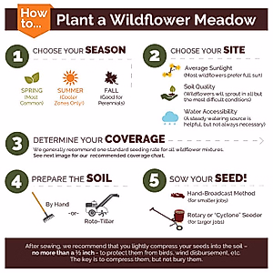 North Carolina Wildflower Seed Mix - 1/4 Pound - Mixed Wildflower Seeds, Attracts Bees, Attracts Butterflies, Attracts Hummingbirds, Attracts Pollinators, Easy to Grow & Maintain, Cut Flower Garden