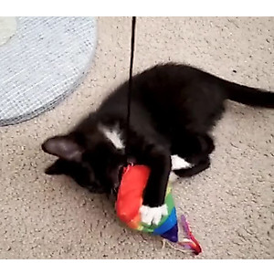 Meowijuana | Get Higher Bundle | Get Higher Kite, King Size Catnip Joints, and Whisker Tickler | Promotes Play and Cat Health | Includes Organic Catnip | Feline and Cat Lover Approved