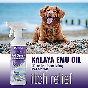 KENIC Kalaya Emu Oil Pet Conditioning & Detangling Spray for Dogs & Cats, Natural Leave-in Conditioner - Provides Shine to Fur, Moisturizes Skin, Protects & Soothes Flea Bites & Grass Allergies, Cruelty Free, Made in USA