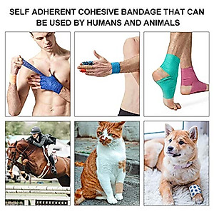 MUEUSS Self Adhesive Bandage Wrap Cohesive Bandage for Dogs Cats Horses Bandage, Pet First Aid Tape Athletic Sports Wrap Tape Non-Woven Elastic Self Adherent Wrap for Knee Ankle (2inches 6rolls)
