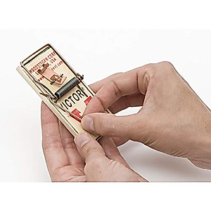 Victor M154 Metal Pedal Mouse Trap, Pack of 12