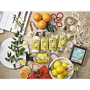 Caldrea Dish Soap, Biodegradable Dishwashing Liquid made with Soap Bark and Aloe Vera, Sea Salt Neroli, 16 oz , 3 Pack