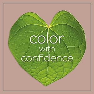 Naturtint Hr Clr Women 2N Brown Black, 5.98 oz