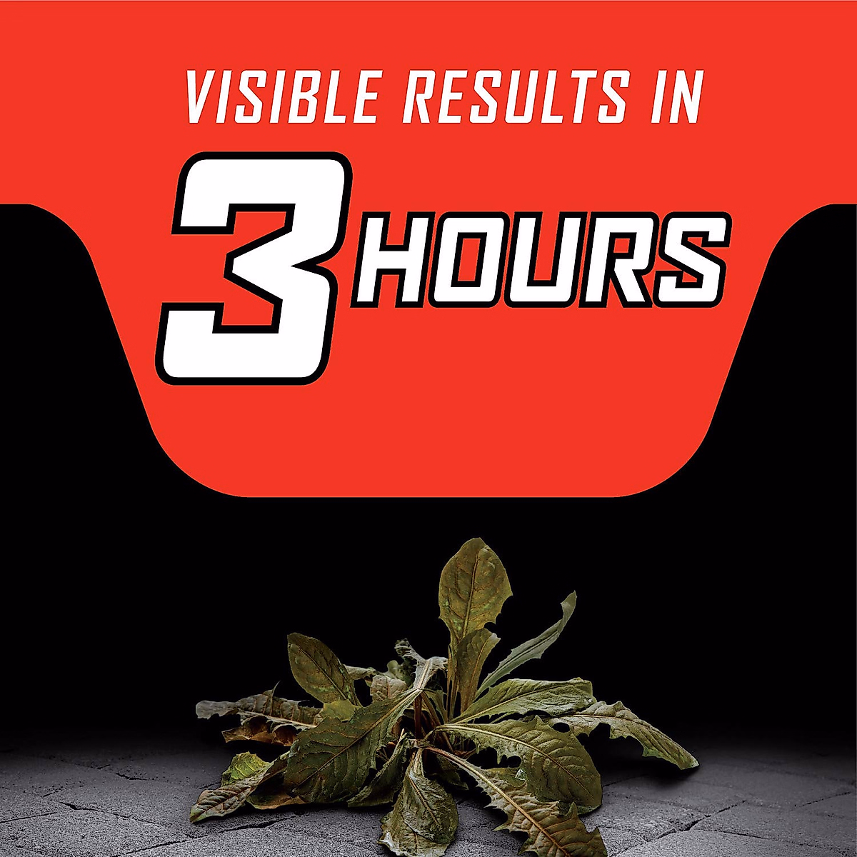 Ortho GroundClear Year Long Vegetation Killer1 - Concentrate, Visible Results in 3 Hours, Kills Weeds and Grasses to the Root When Used as Directed, Up to 1 Year of Weed and Grass Control, 1 gal.