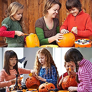 12 Pieces Professional Pumpkin Carving Kit Tool Heavy Duty Stainless Steel Tool Set with Storage Carrying Case Used As a Carving Knife for Pumpkin Halloween Decoration …