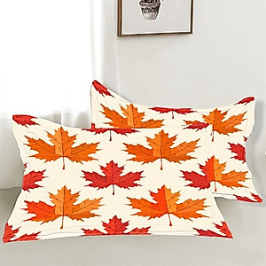 DiuuDi Maple Duvet Cover King Size 3D Printed Duvet Cover Set Light Yellow Background Orange Maple Leaves Bedding Set Home Decoration Comforter Cover Cozy Quilt Cover with 2 Pillowcases