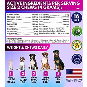 Dog Multivitamin Chewable with Glucosamine 16 in 1 - Dog Vitamins and Supplements - Hip and Joint Support Health - Immunity, Mobility - Gut, Skin, Heart, Coat