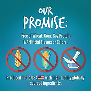 Fruitables Biggies Dog Biscuits – Crunchy Dog Biscuits Made with Pumpkin – Healthy Dog Treats Packed with Real Fruit Flavor – Free of Wheat, Corn and Soy – Almond Butter & Coconut – 16 oz