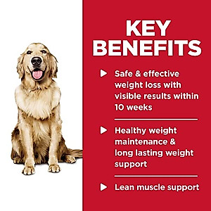 Hill's Science Diet Wet Dog Food, Adult, Perfect Weight for Weight Management, Hearty Vegetable & Chicken Stew Recipe, 12.5 Ounce (Pack of 12)